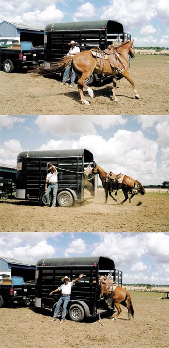 Natural Horse Trailer Loading